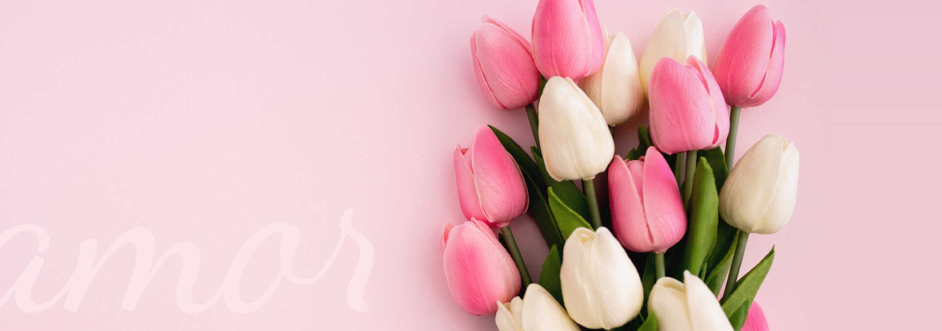 Floricultura Mil Flores